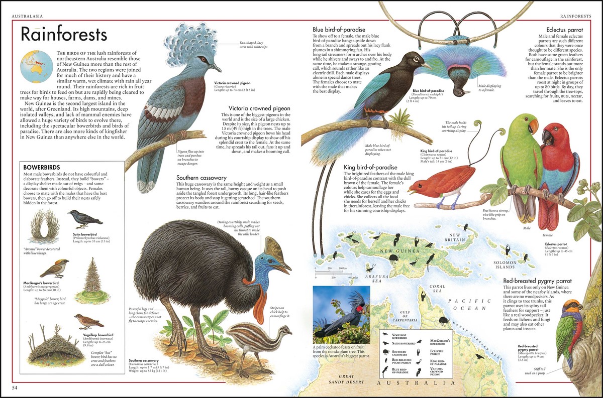 The Bird Atlas, A Pictorial Guide to the World's Birdlife by Barbara ...