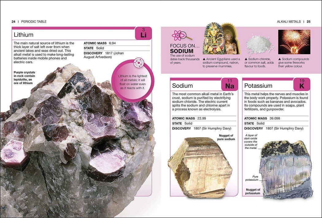 Periodic Table, Facts at Your Fingertips by DK | 9780241413029 | Booktopia