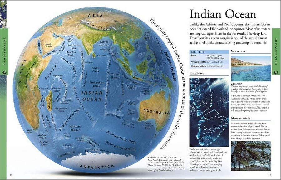 Ocean, A Children's Encyclopedia by Dk | 9780241419755 | Booktopia