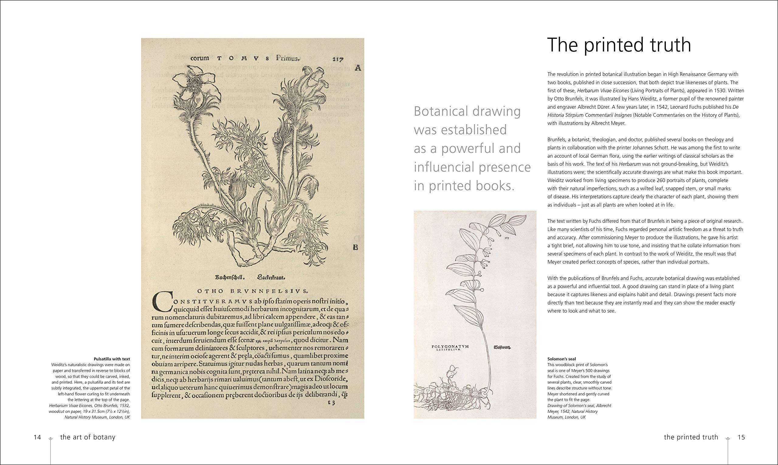 Botany for the Artist, An Inspirational Guide to Drawing Plants by ...