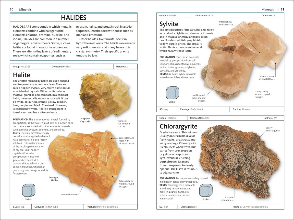Rocks & Minerals, The Definitive Visual Guide by Chris Pellant ...