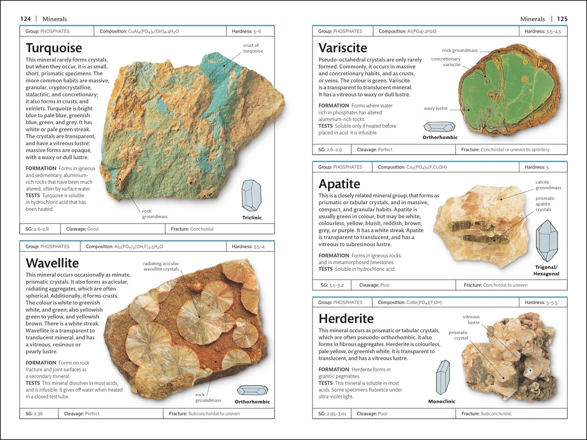 Rocks & Minerals, The Definitive Visual Guide by Chris Pellant ...