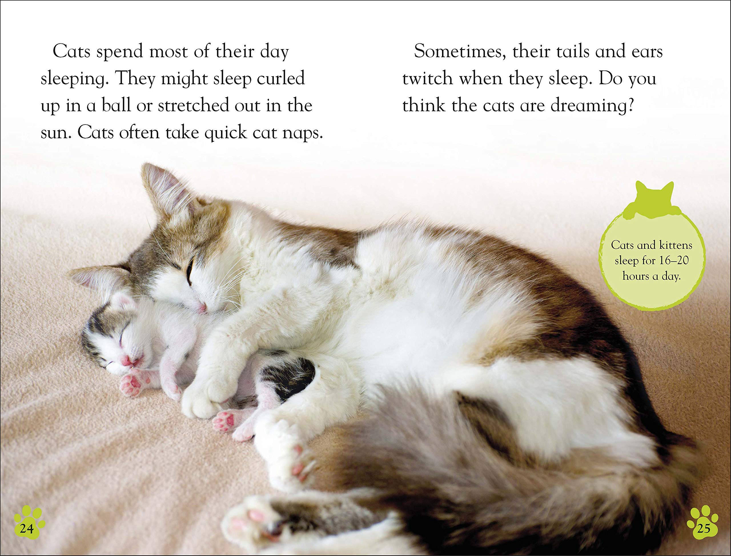 Cats and Kittens , DK Reader Level 2 by DK | 9780241439913 | Booktopia