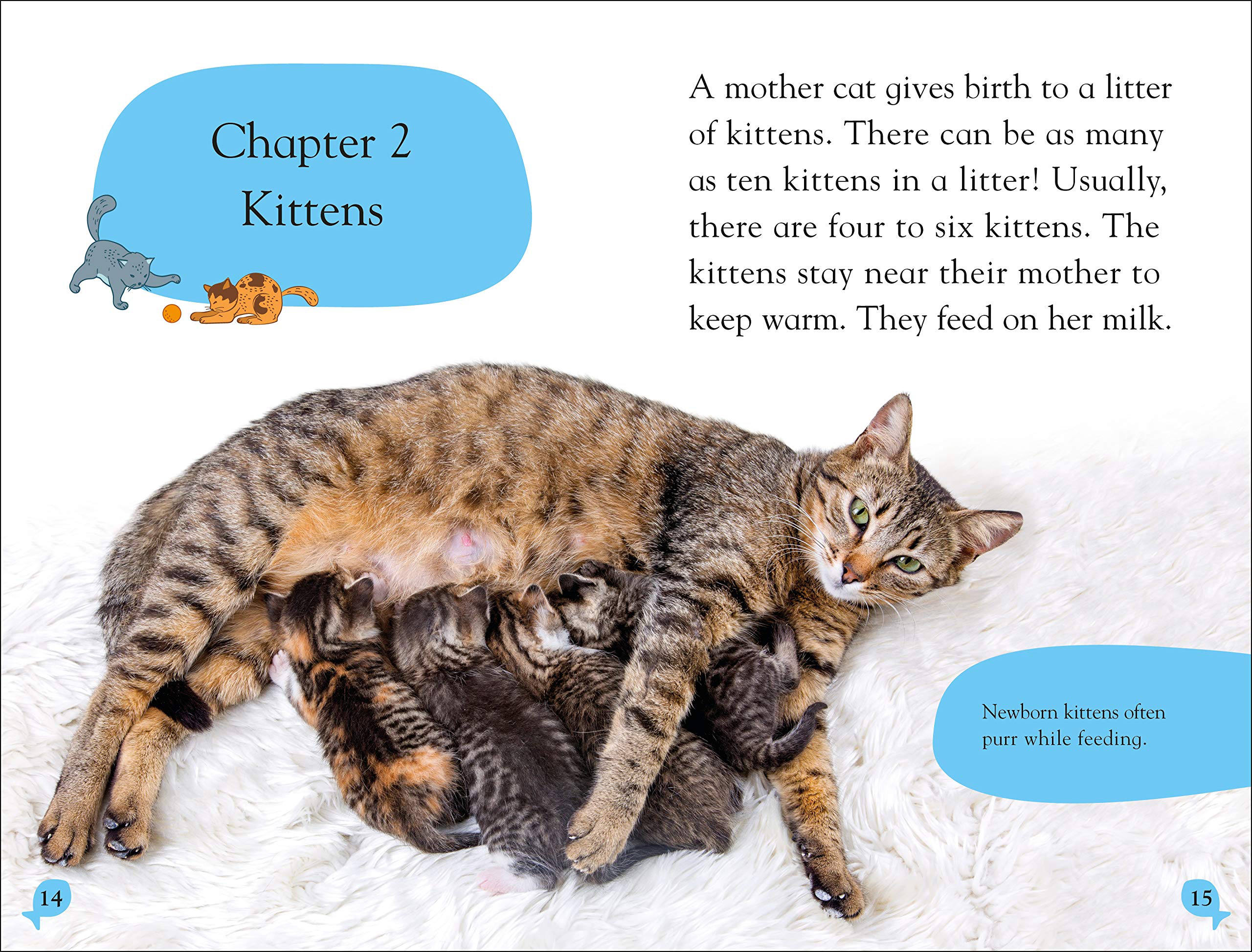 Cats and Kittens , DK Reader Level 2 by DK | 9780241439913 | Booktopia