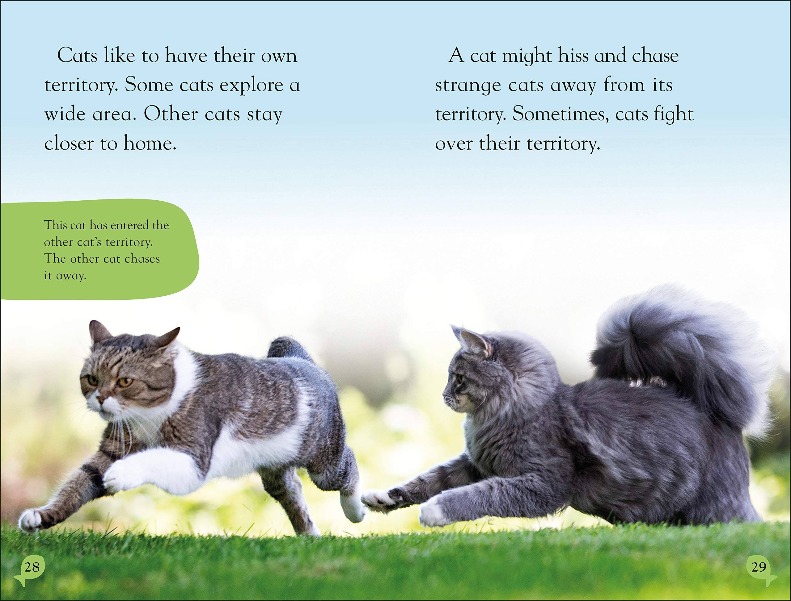 Cats and Kittens , DK Reader Level 2 by DK | 9780241439913 | Booktopia