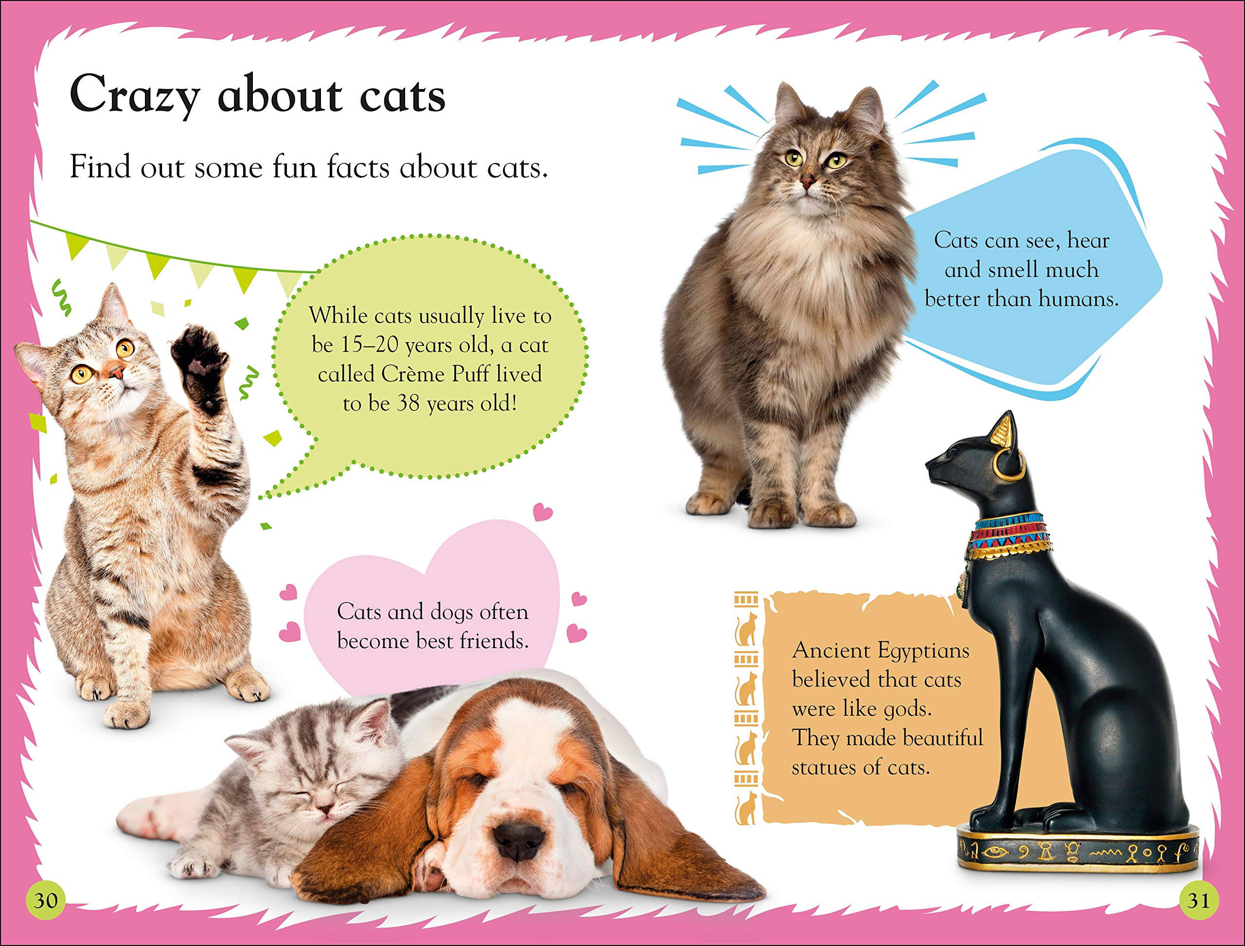 Cats and Kittens , DK Reader Level 2 by DK | 9780241439913 | Booktopia