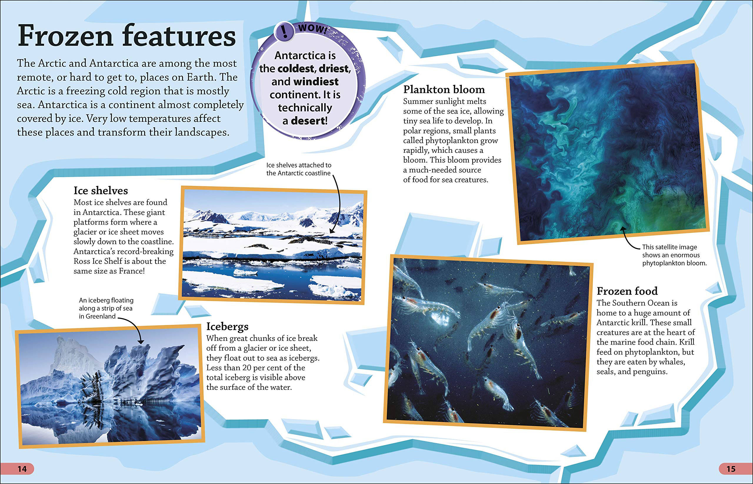 DKfindout! Oceans by DK | 9780241442791 | Booktopia