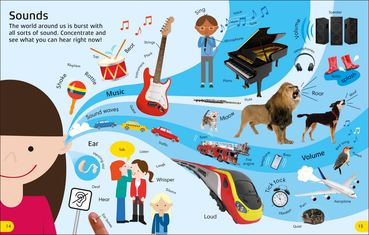 1000 Words: STEM, Build science, vocabulary, and literacy skills by DK ...