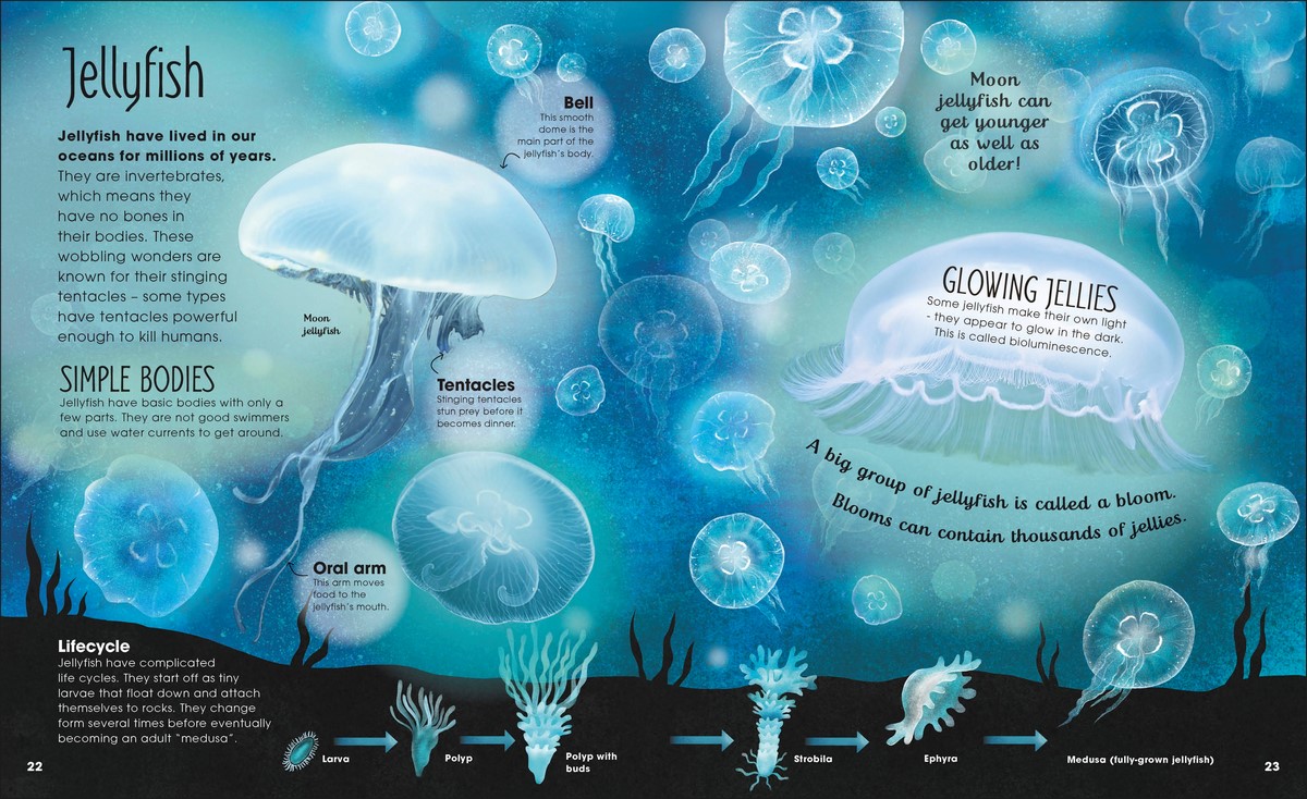 Earth's Incredible Oceans by Jess French | 9780241459140 | Booktopia