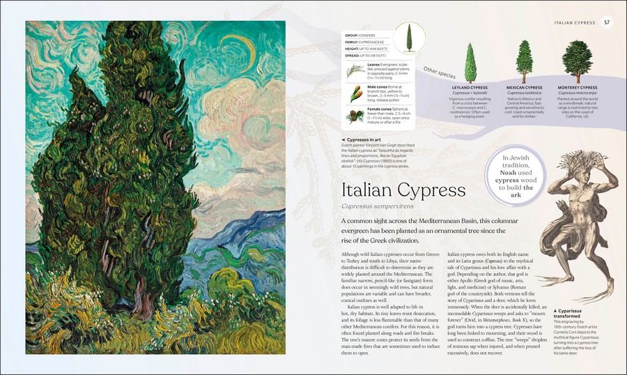 The Tree Book, The Stories, Science, and History of Trees by DK ...