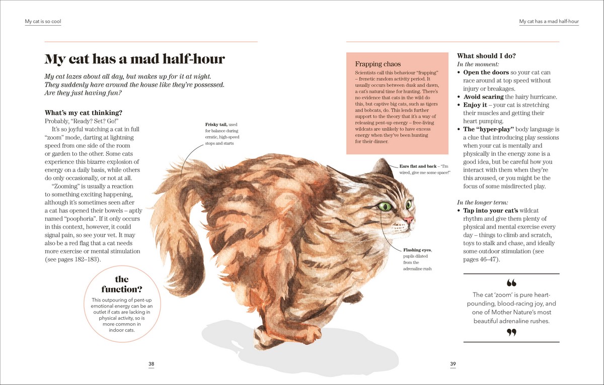 What's My Cat Thinking?, Understand Your Cat to Give Them a Happy Life ...