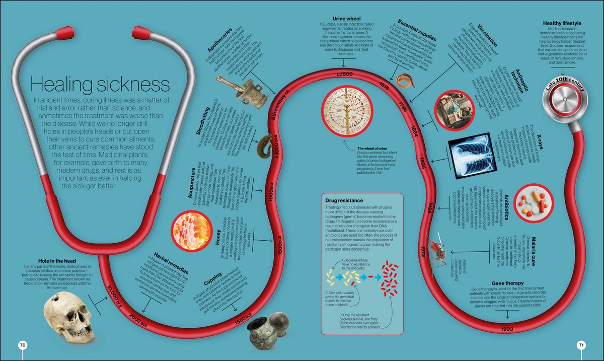 Timelines of Science, From Fossils to Quantum Physics by DK | 9780241515358 | Booktopia
