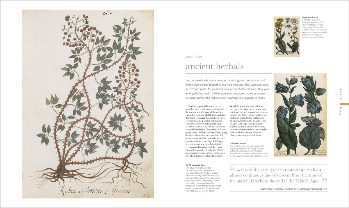 The Science of Plants by DK | Inside their Secret World | 9780241515501 ...