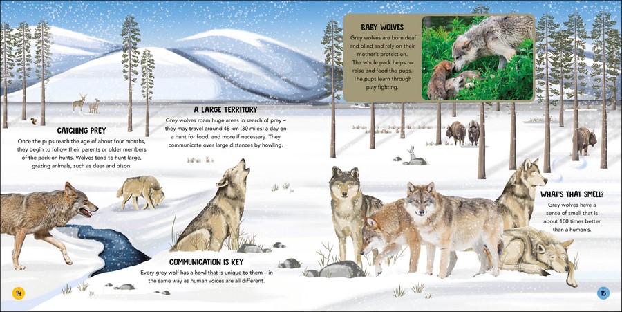 Animal Teams, How Amazing Animals Work Together in the Wild by ...