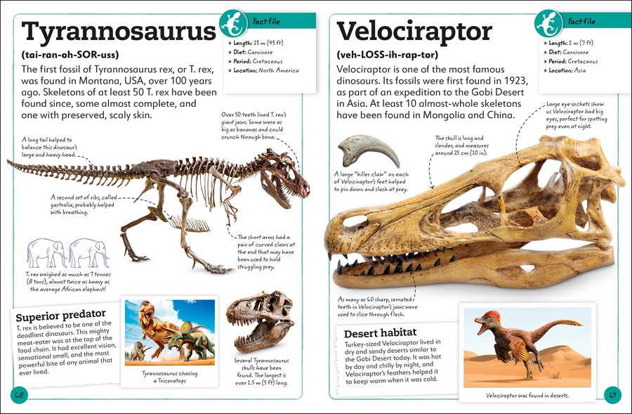 My Book of Fossils, A fact-filled guide to prehistoric life by DK ...