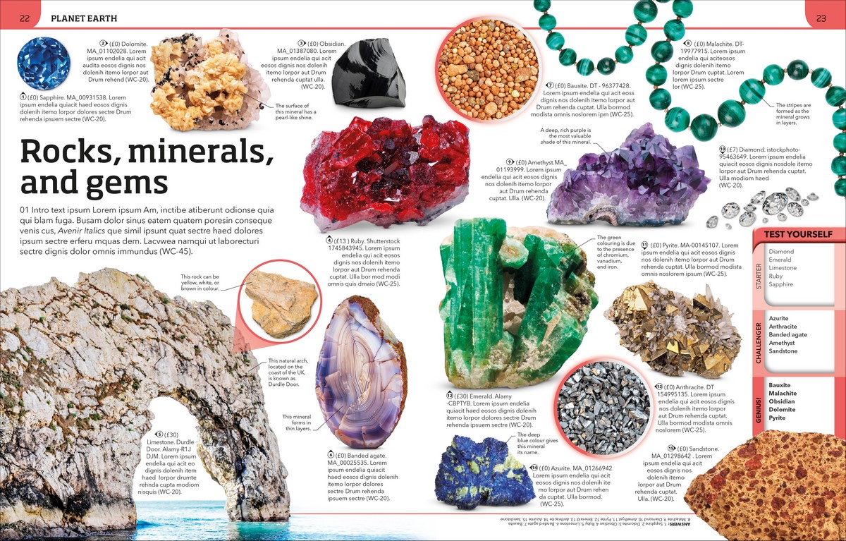 Earth Knowledge Genius!, A Quiz Encyclopedia to Boost Your Brain by DK ...