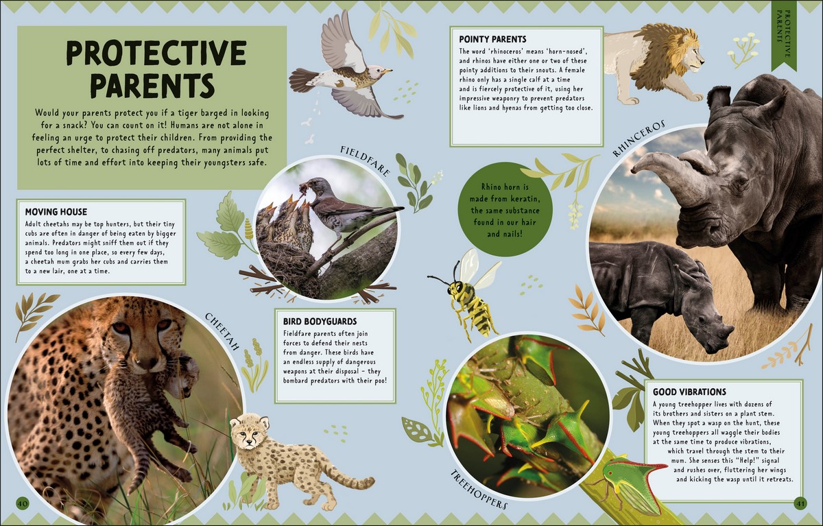 How Not to Get Eaten by Josette Reeves | More than 75 Incredible Animal ...