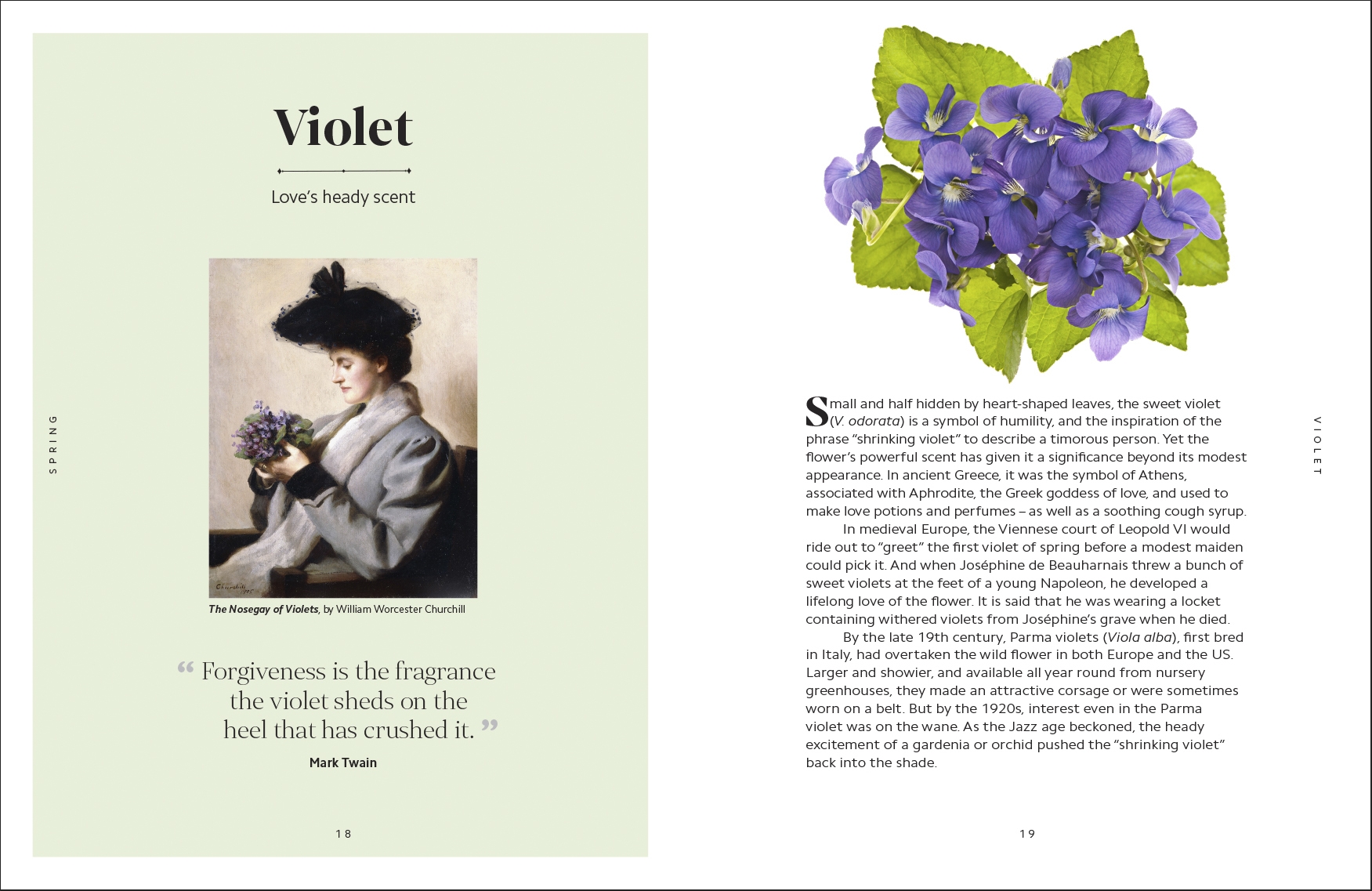 The Secret Language of Flowers by DK | 9780241566220 | Booktopia