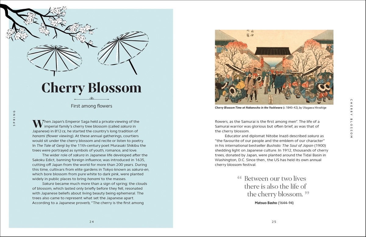 The Secret Language of Flowers by DK | 9780241566220 | Booktopia