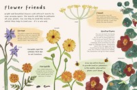 My First Garden, For Little Gardeners Who Want to Grow by Livi Gosling ...