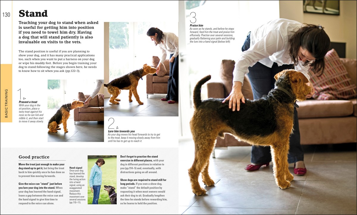 The Beginner's Dog Training Guide, How to Train a Superdog, Step by ...