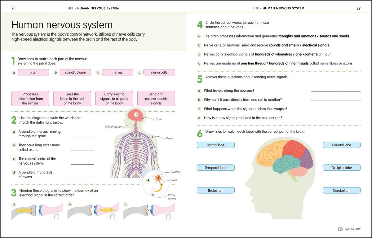 How to be Good at Science, Technology & Engineering Workbook 2, Ages 11 ...