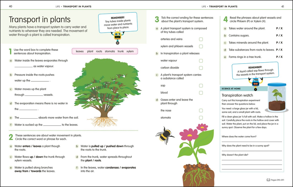 How to be Good at Science, Technology & Engineering Workbook 2, Ages 11 ...