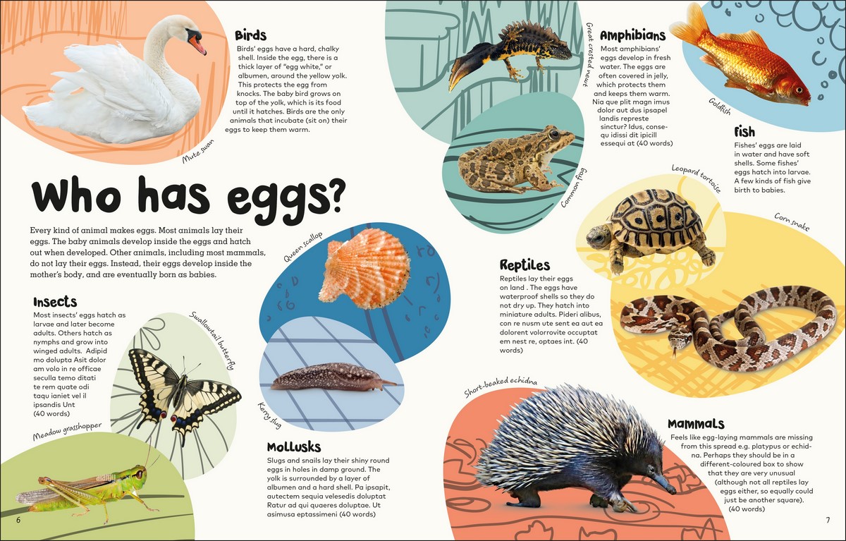 The Egg Book, See How Baby Animals Hatch, Step By Step! by DK ...