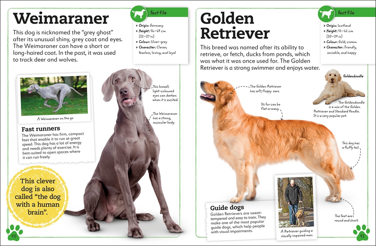 My Book of Dogs and Puppies, A Fact-Filled Guide to Your Canine Friends ...