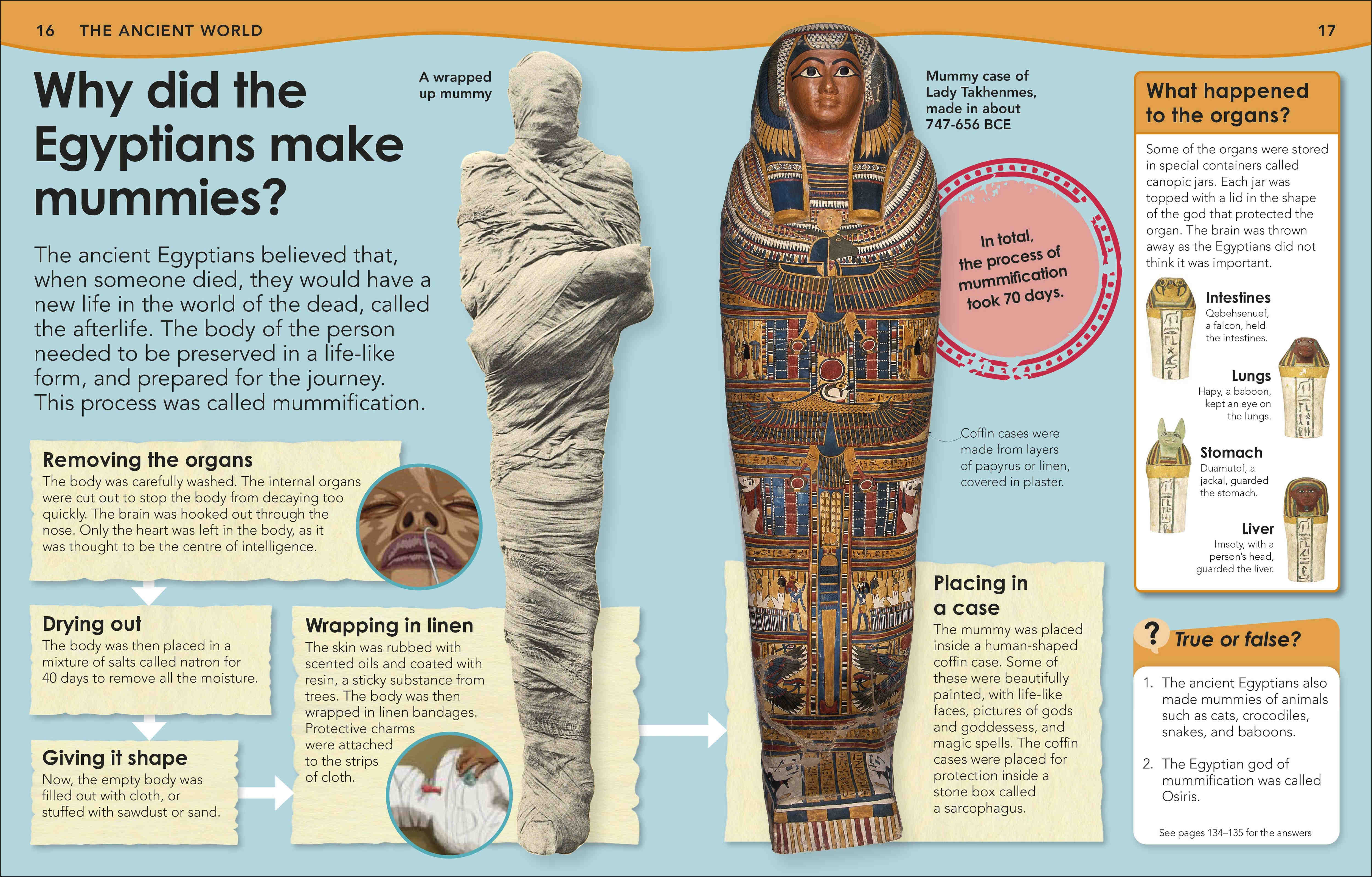 What Do We Know About History? by Philip Steele | With 200 Amazing ...