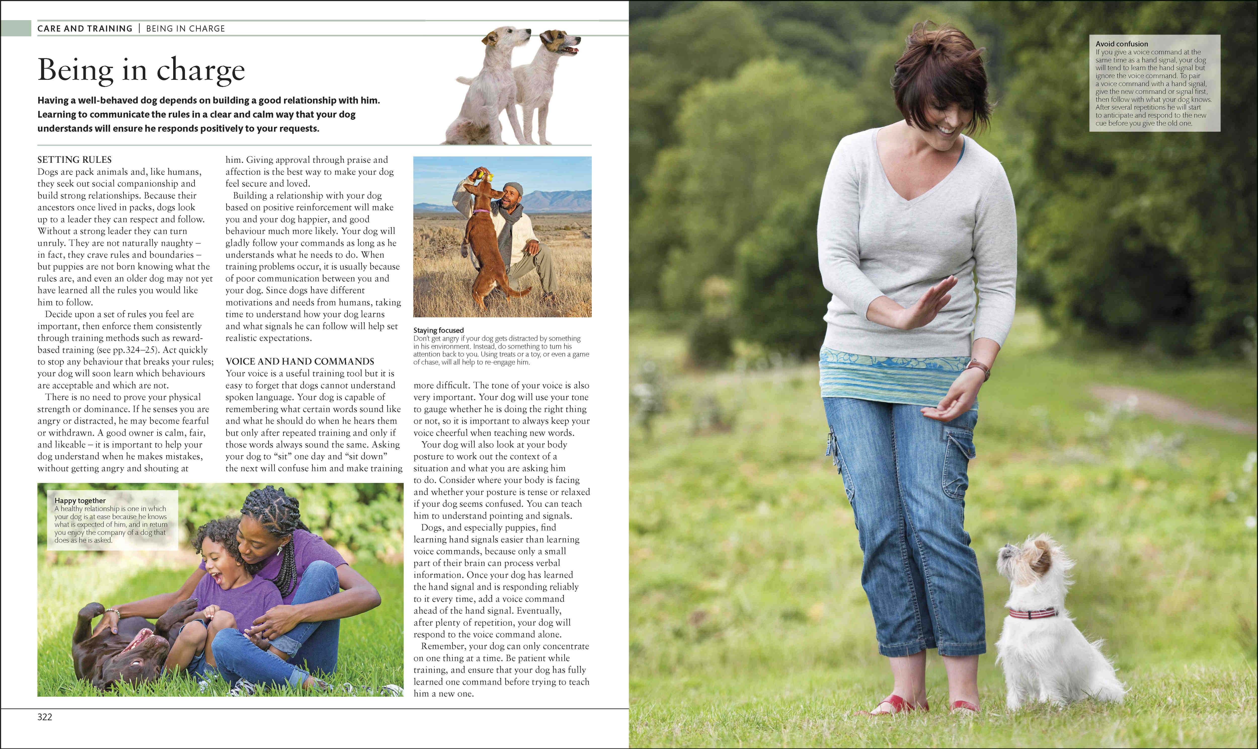 The Dog Encyclopedia by DK | The Definitive Visual Guide ...