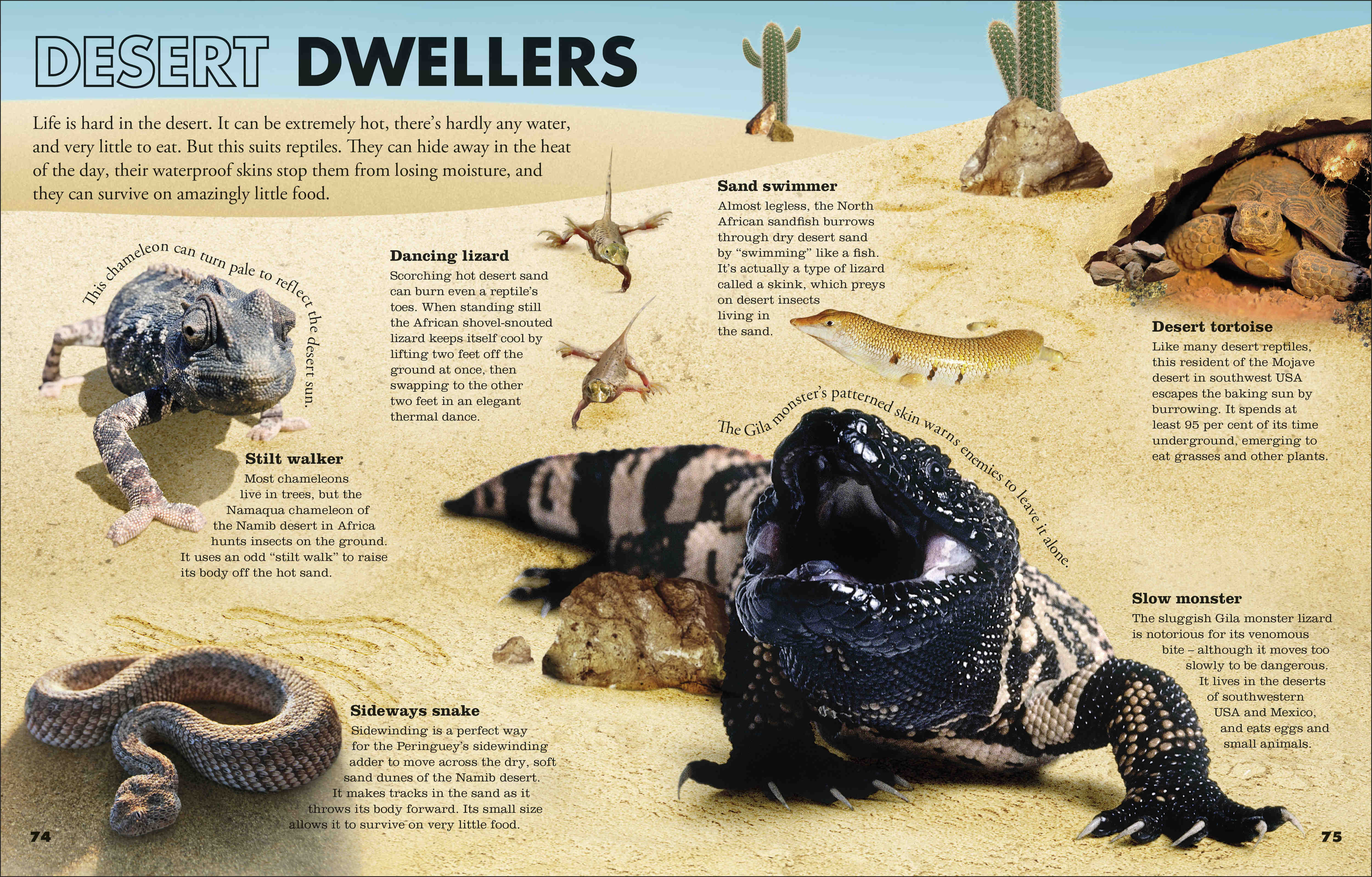 Everything You Need to Know About Snakes by DK | And Other Scaly ...