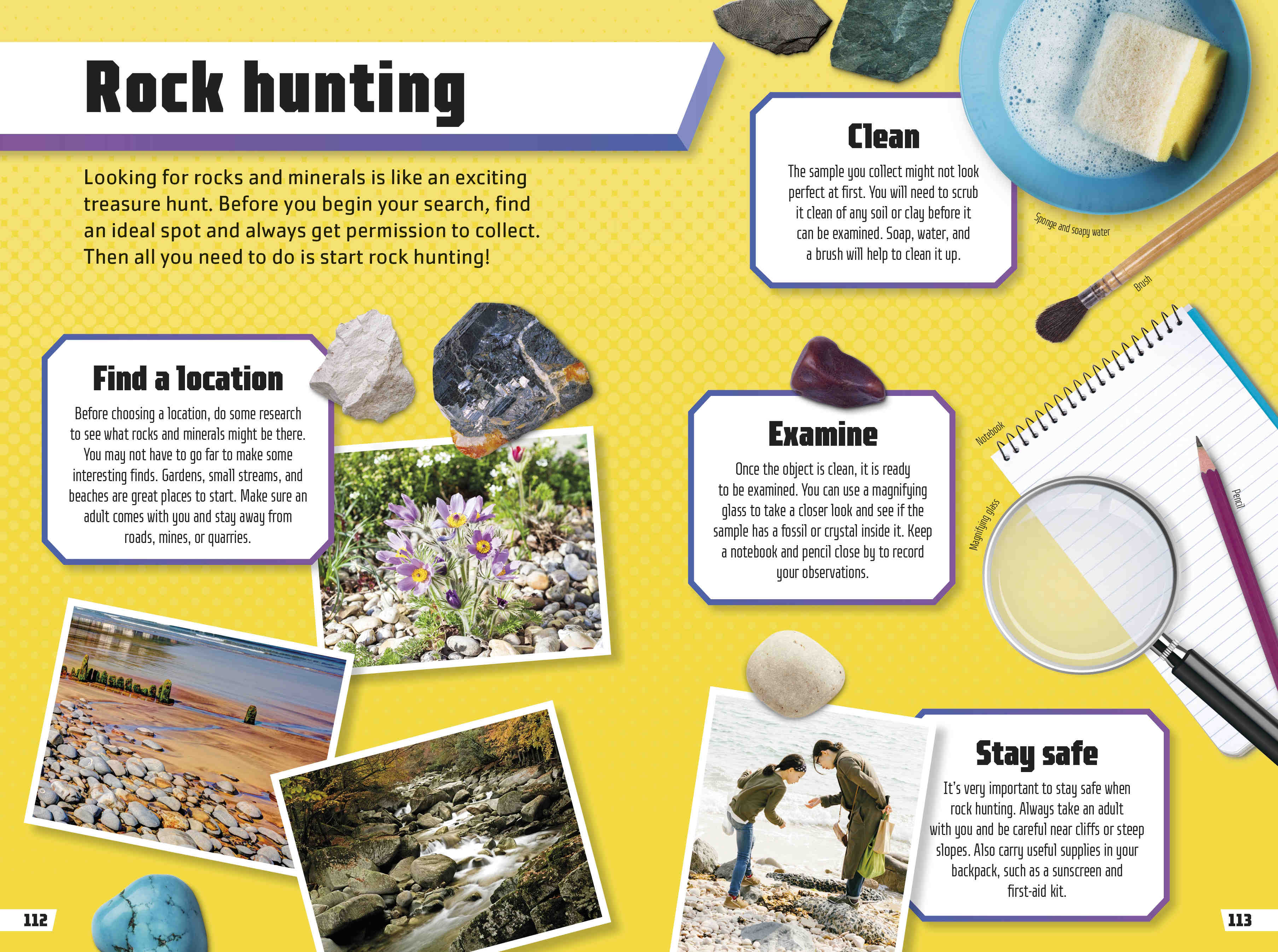 Rocks and Minerals Ultimate Handbook, The Need-to-Know Facts and Stats on More Than 200 Rocks ...