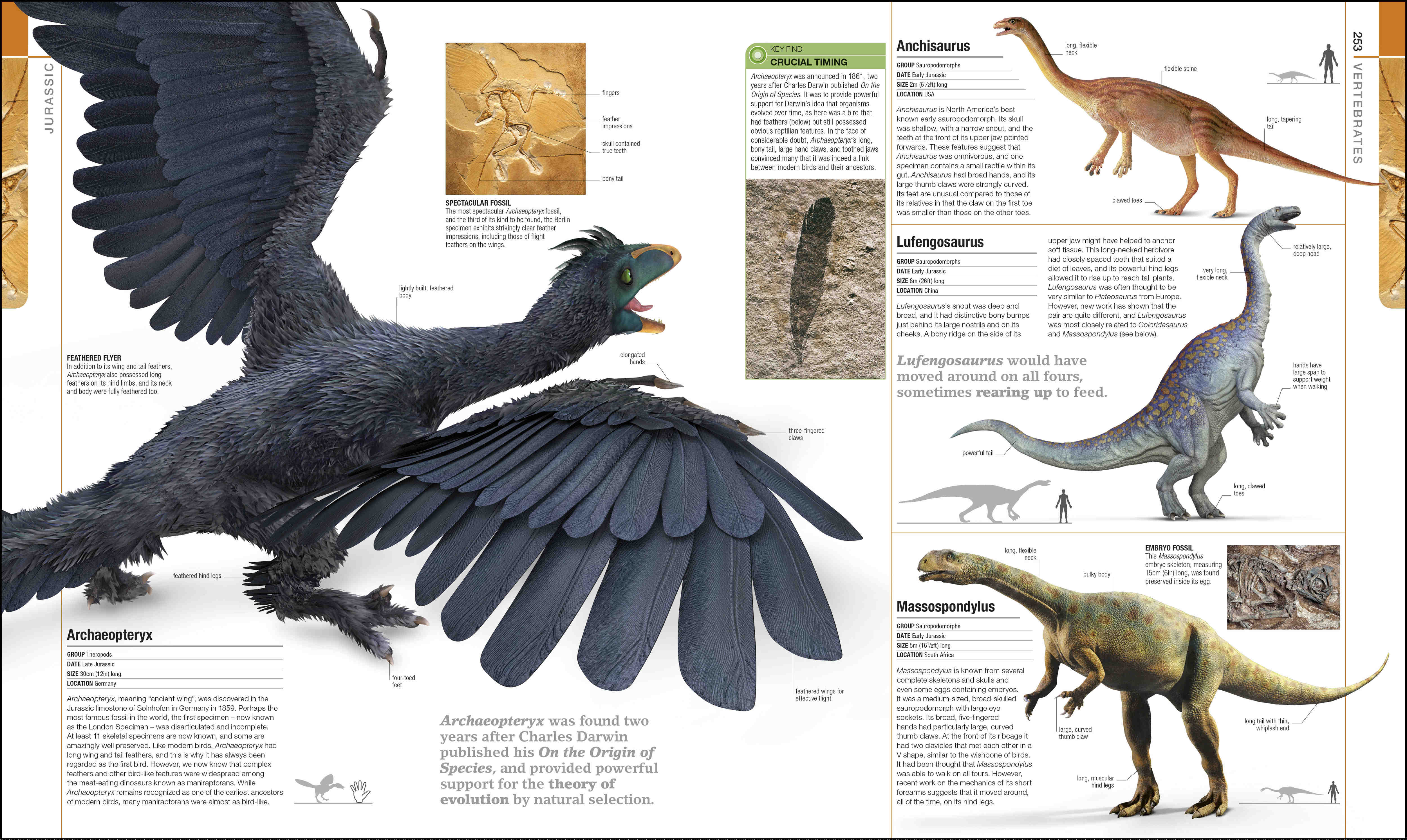 Dinosaurs and Prehistoric Life by DK | The definitive visual guide to ...