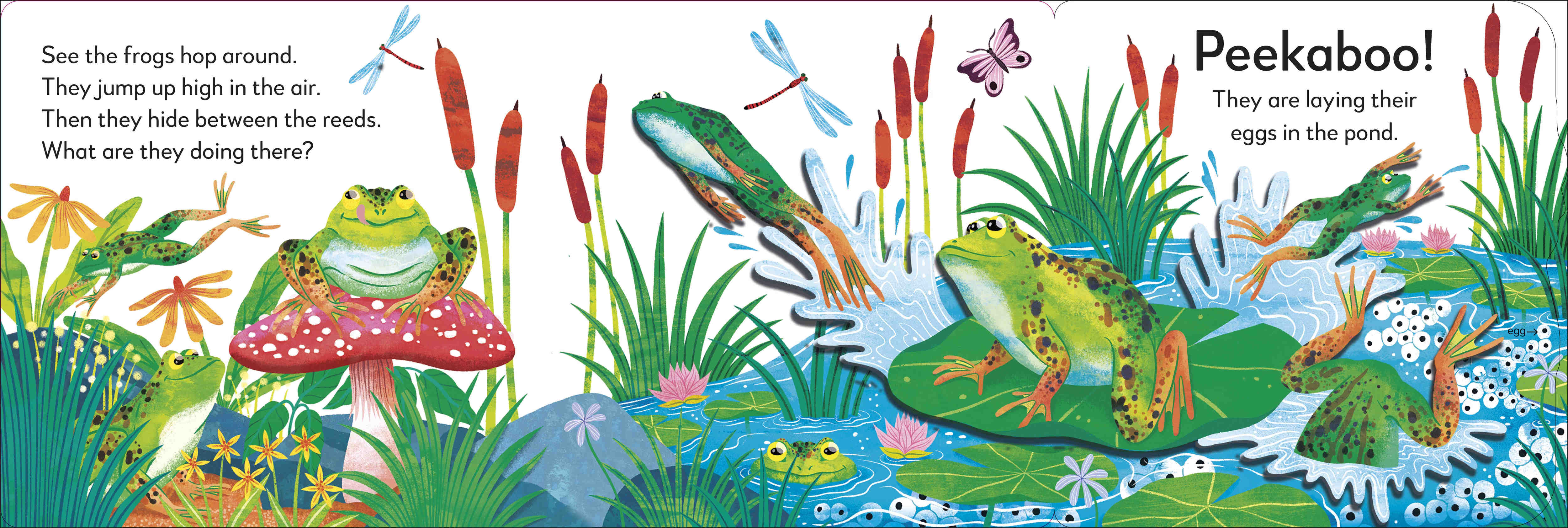 Pop-Up Peekaboo! Frog by DK | Pop-Up Surprise Under Every Flap ...