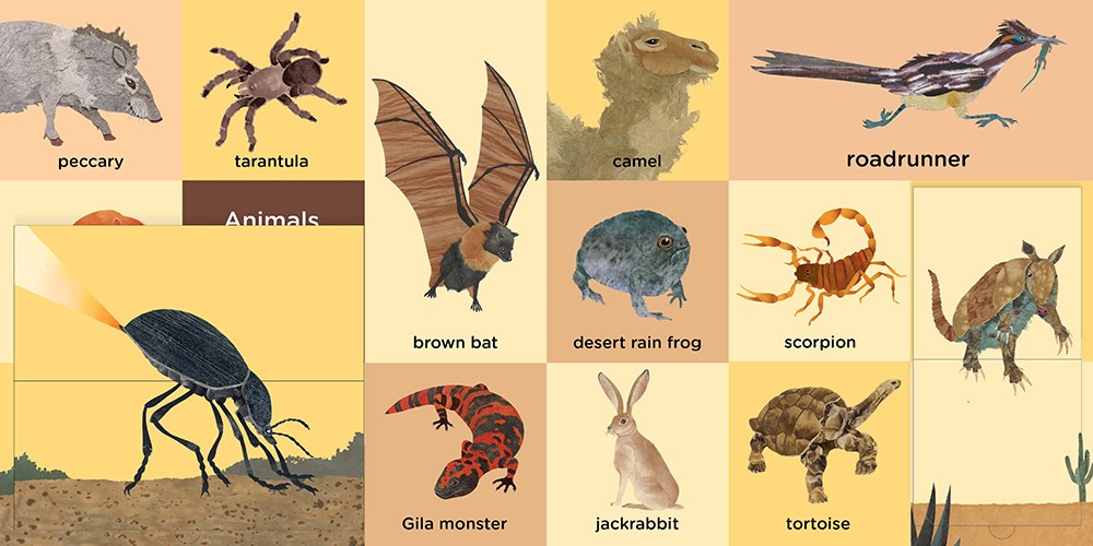 100 Animals Board Book, Lift-the-Flap by Steve Jenkins | 9780358105459 ...