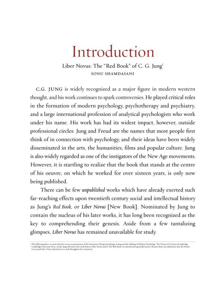 The Red Book, Liber Novus by Carl Jung | 9780393065671 | Booktopia