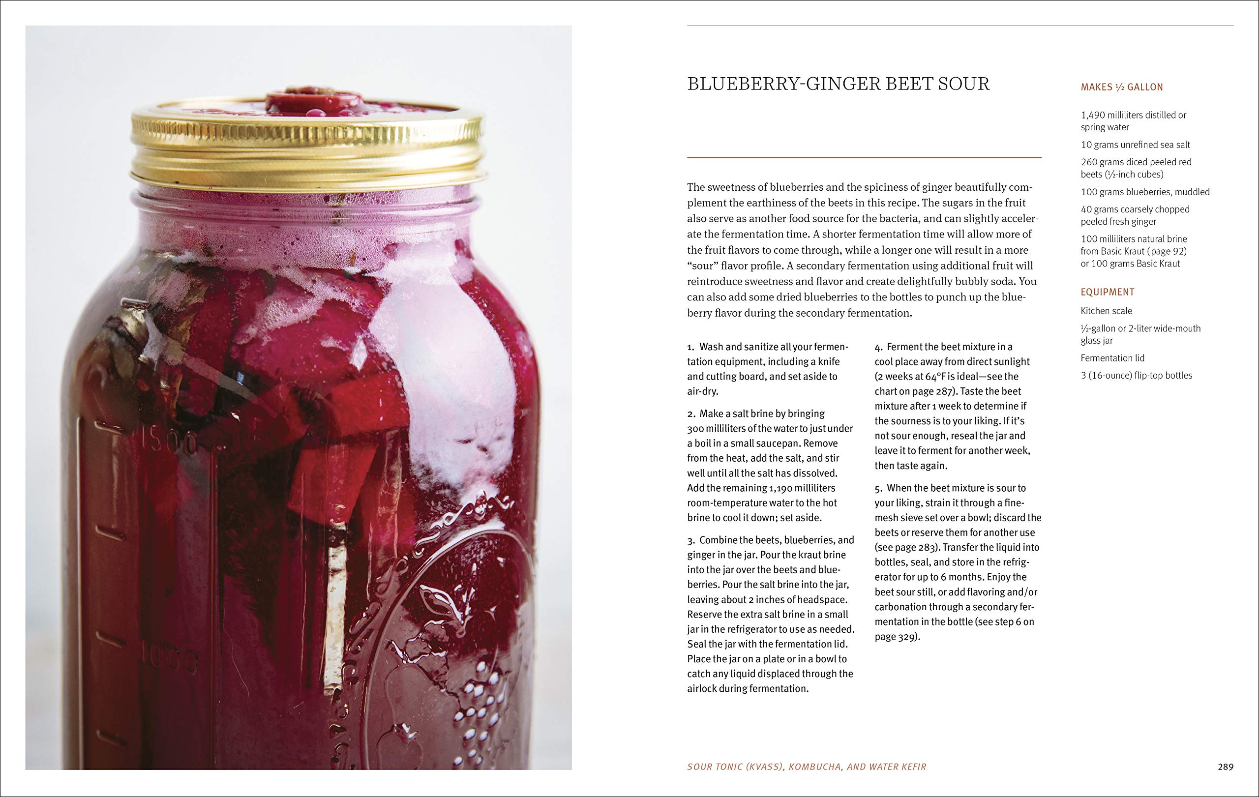 The Farmhouse Culture Guide to Fermenting, Crafting Live-Cultured Foods ...