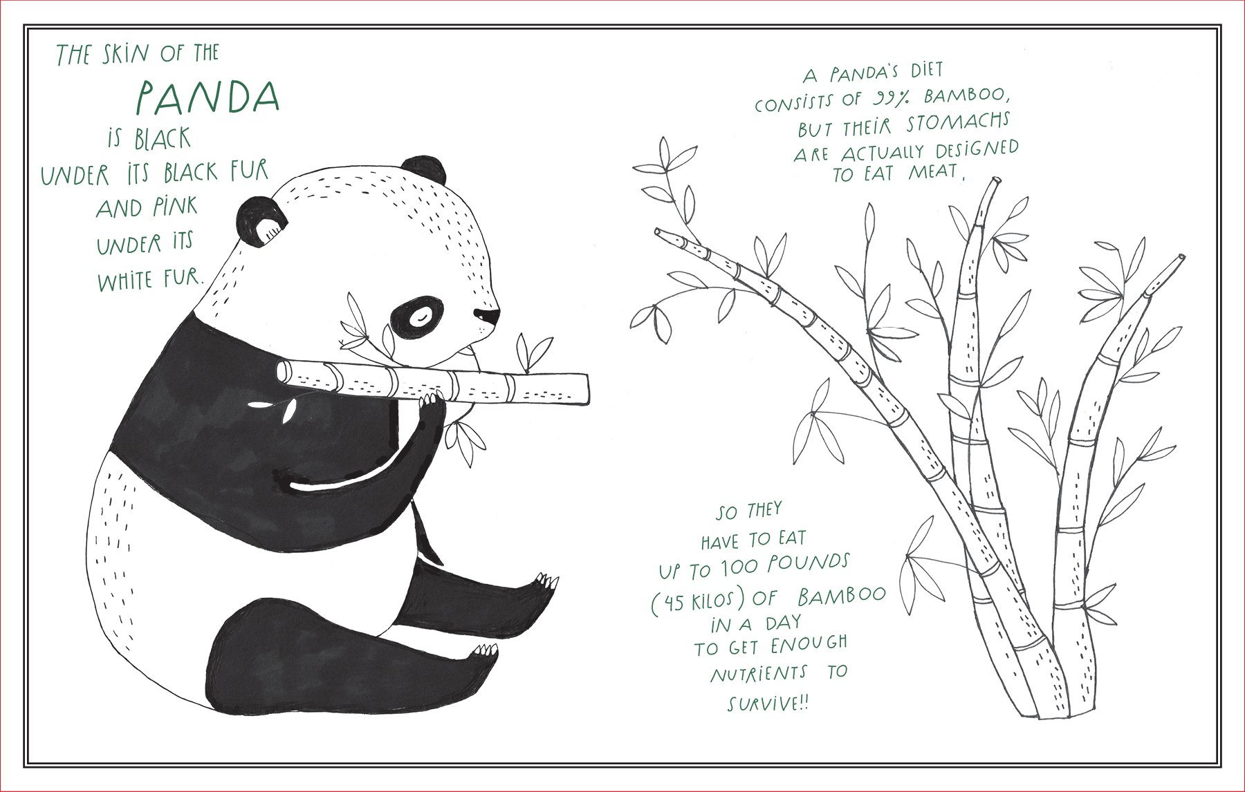 Amazing Animal Facts - Postcards, 50 Colorable Postcards by Maja ...