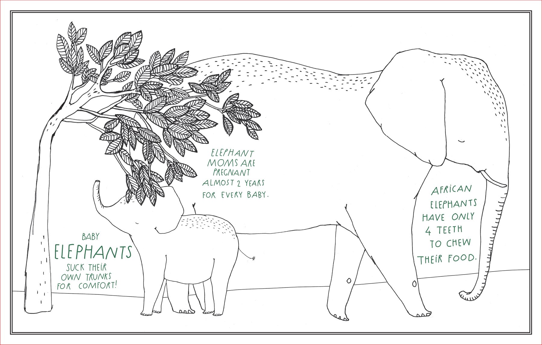 Amazing Animal Facts - Postcards, 50 Colorable Postcards by Maja ...