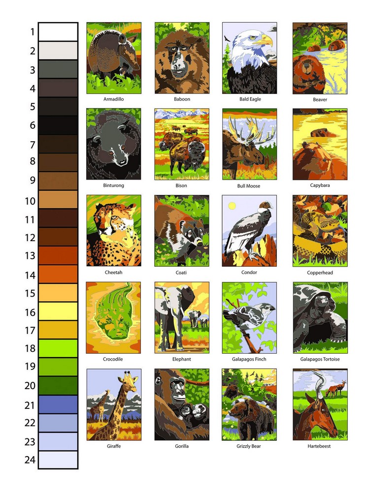 Wildlife: Color by Number - Adult Coloring Book, Creative Haven ...