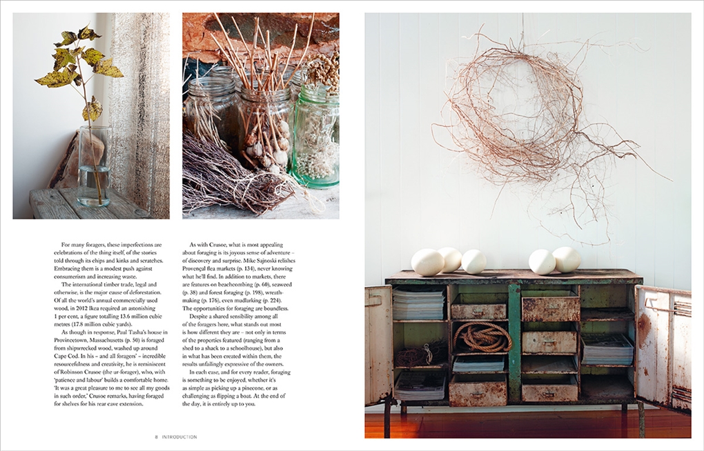 The Foraged Home by Joanna Maclennan | 9780500021873 | Booktopia