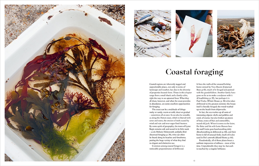 The Foraged Home by Joanna Maclennan | 9780500021873 | Booktopia