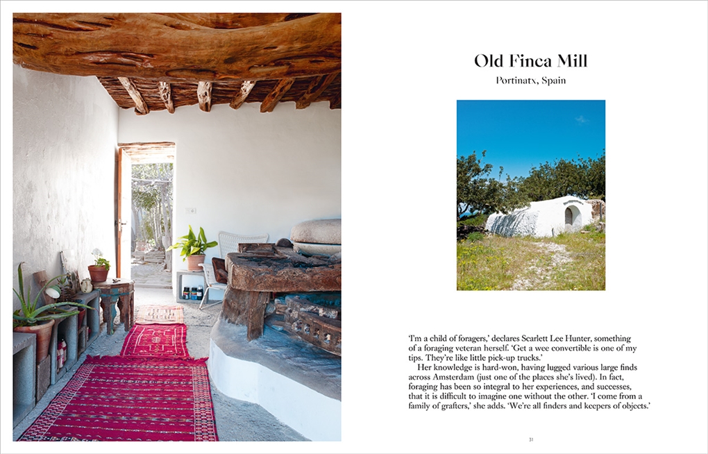 The Foraged Home by Joanna Maclennan | 9780500021873 | Booktopia