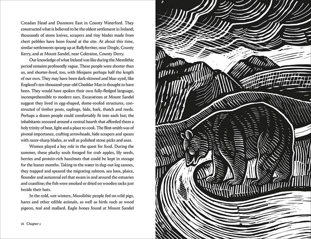 Ireland's Forgotten Past, History of the Overlooked and Disremembered ...