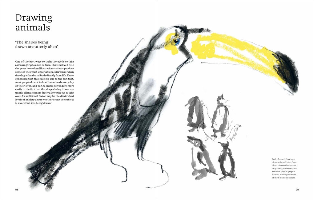 Drawing for Illustration by Martin Salisbury | 9780500023310 | Booktopia