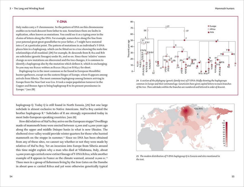 The Origins of the Anglo-Saxons, Decoding the Ancestry of the English ...