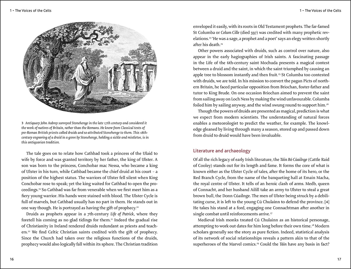 Blood of the Celts, New Ancestral Story by Jean Manco | 9780500295878 ...