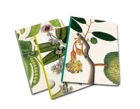 Remarkable Plants - Set of 3 A5 Notebooks, Thames & Hudson Gift by The Royal Botanic Gardens ...
