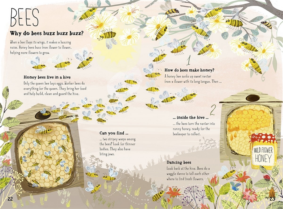 The Big Book of Bugs, The Big Book series by Yuval Zommer ...